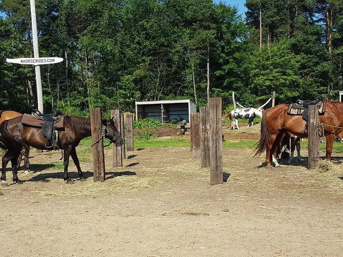 Wild West Ranch 3
