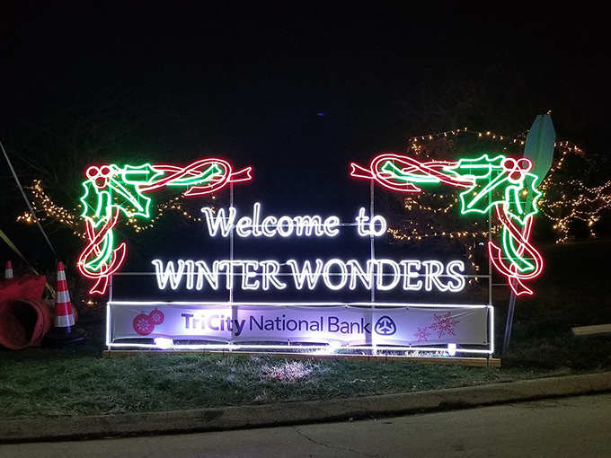 winter wonders 1