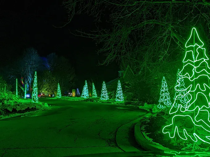 winter wonders 3