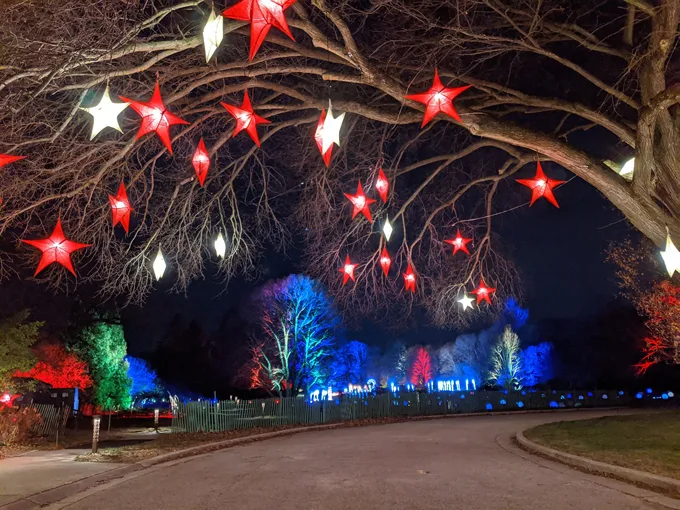 winter wonders 7
