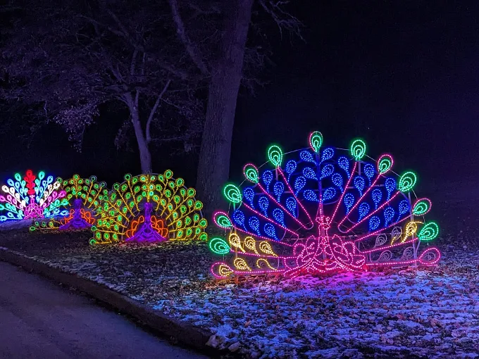 winter wonders 9
