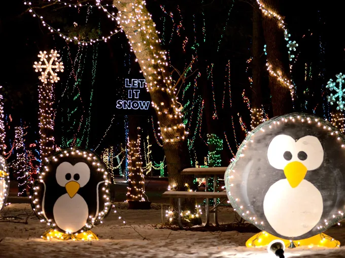 Wisconsin Christmas Carnival of Lights 8