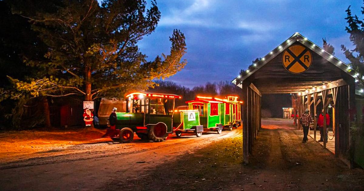 a charming evening scene at peacock road family farm with a brightly lit, festive train and wooden railroad crossing sign, with visitors nearby enjoying the atmosphere.