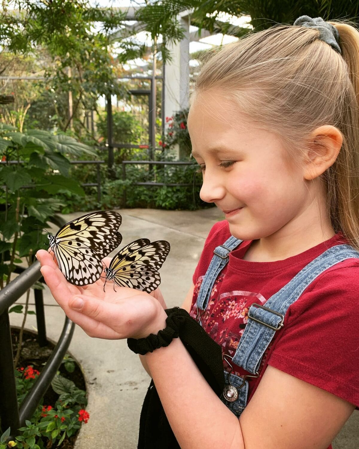 a young girl with delicate butterflies in her hands