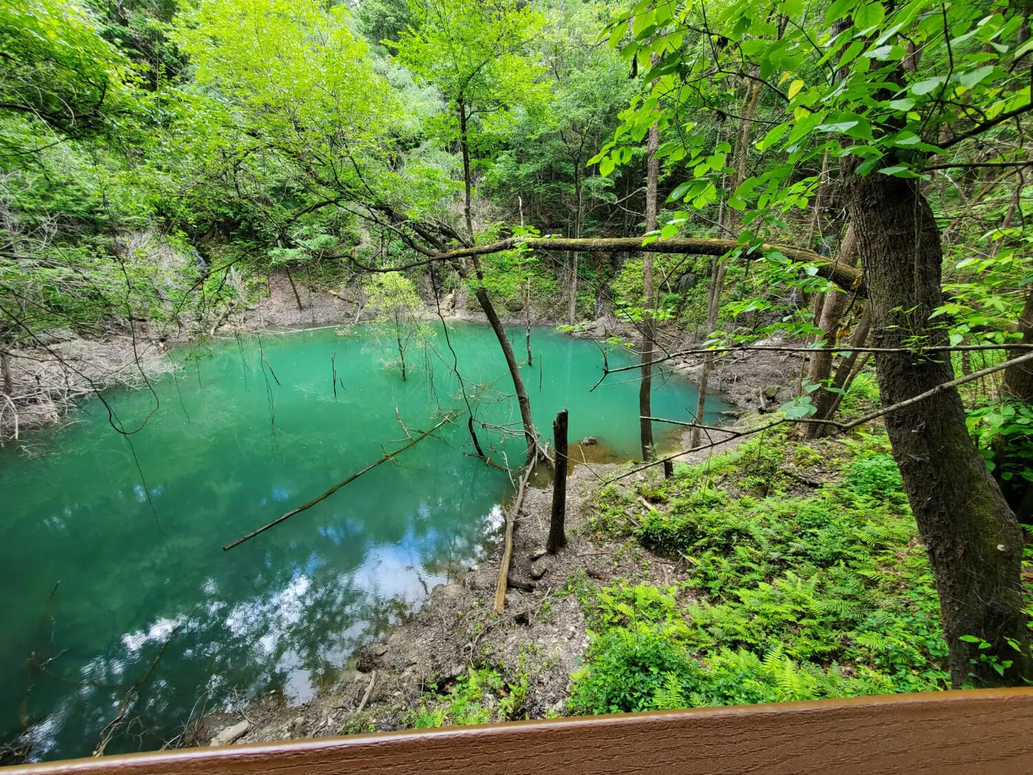 an image of the sinkhole up close from the boardwalk