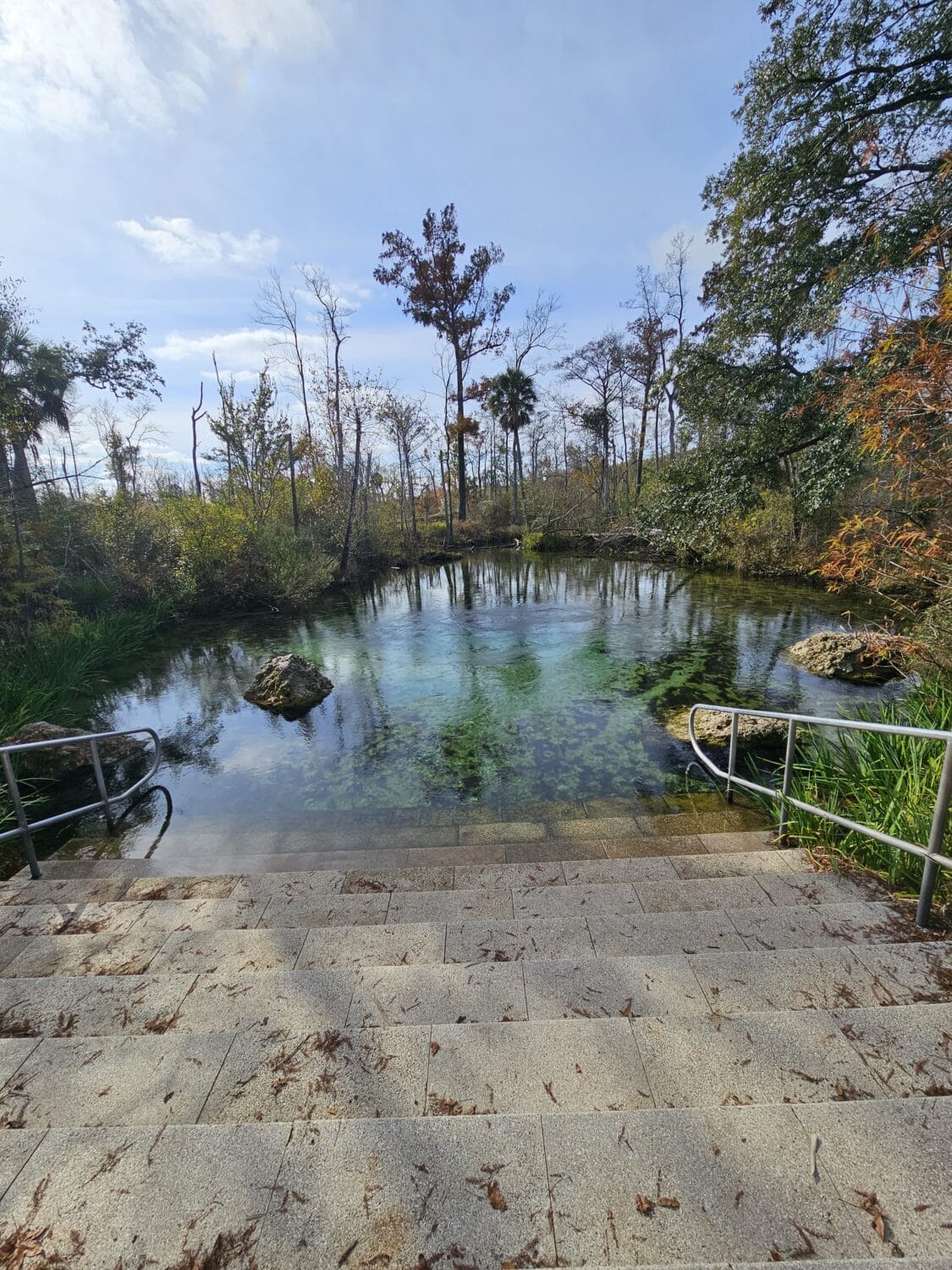 an image of the spring from above the stairs leading down the spring