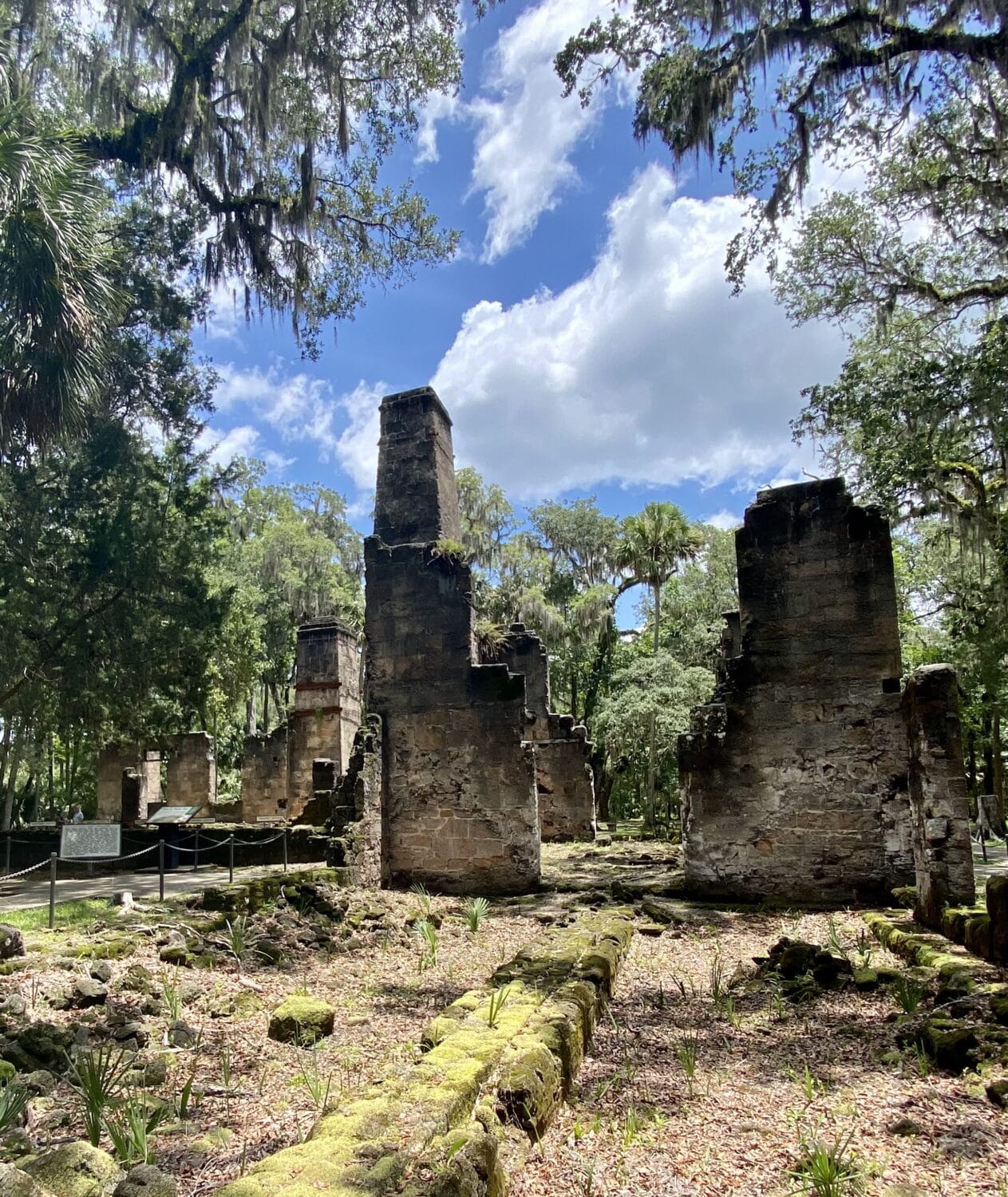 an old ruins inside the bulow creek state park