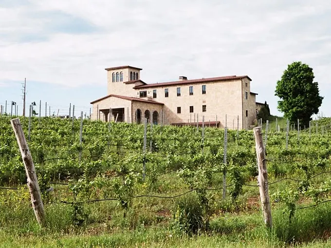 mari vineyards 2