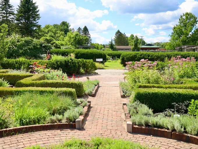 matthaei botanical gardens 7