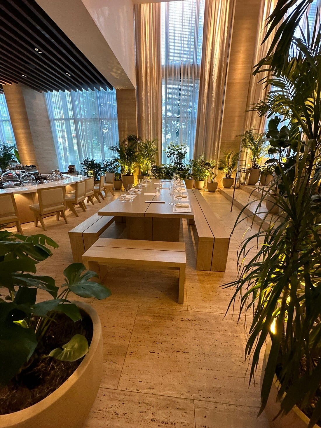 one of the restaurants inside the hotel surrounded by tropical plants