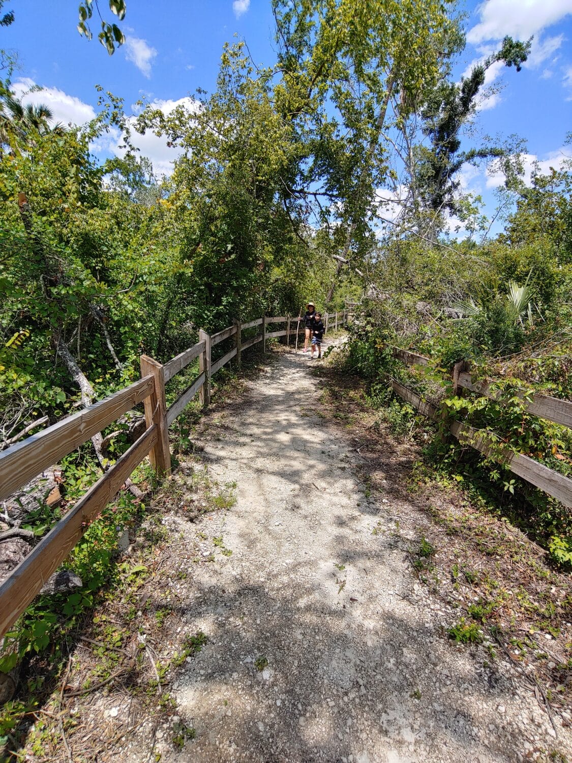 part of the trail inside the location of the spring where mom and son are walking