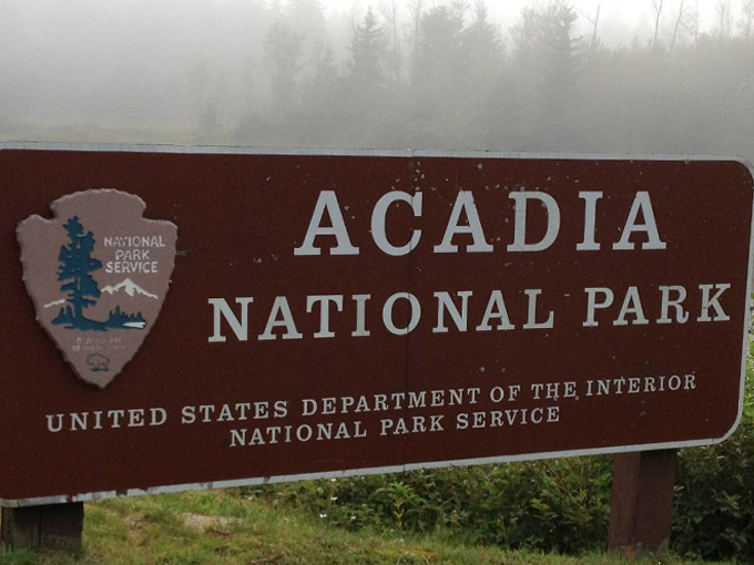 acadia national park 1