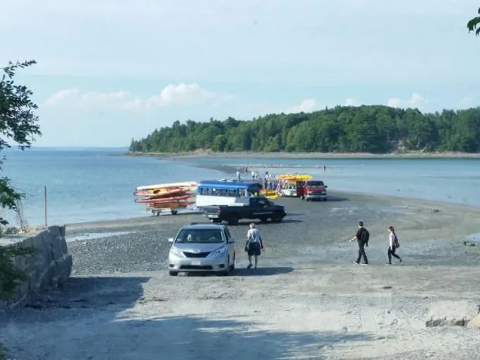 bar island 2