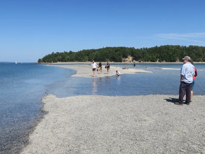 bar island 3