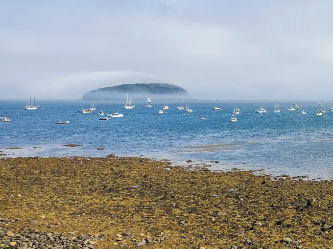 bar island 5