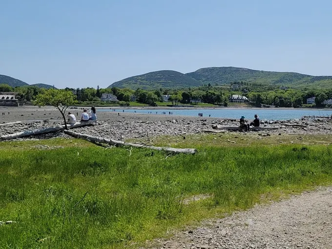 bar island 9