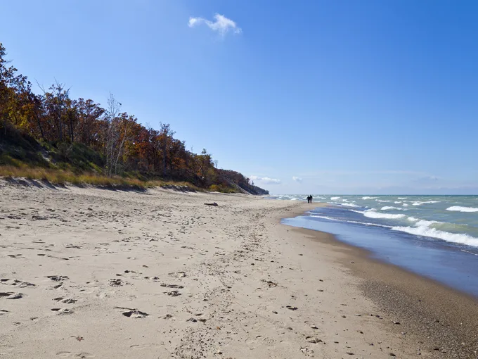 Benton Harbor 8