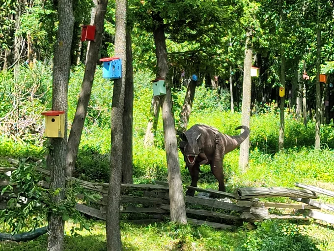 bird house forest 5