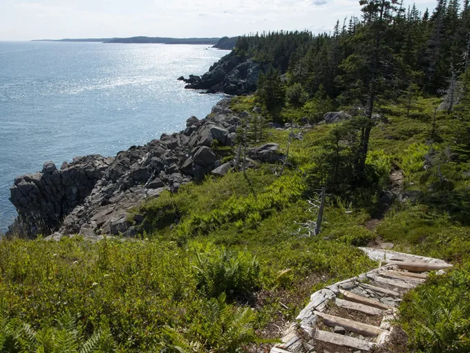 bold coast trail 2