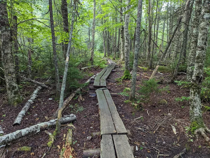 bold coast trail 3
