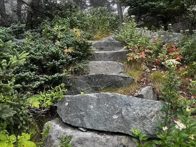 bold coast trail 6