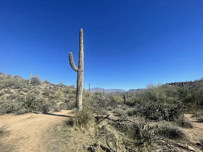 butcher jones trail 7