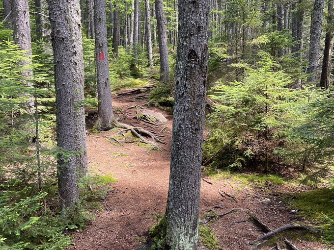 cascade stream gorge trail 7