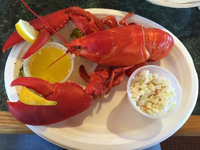 cindys dockside restaurant 5