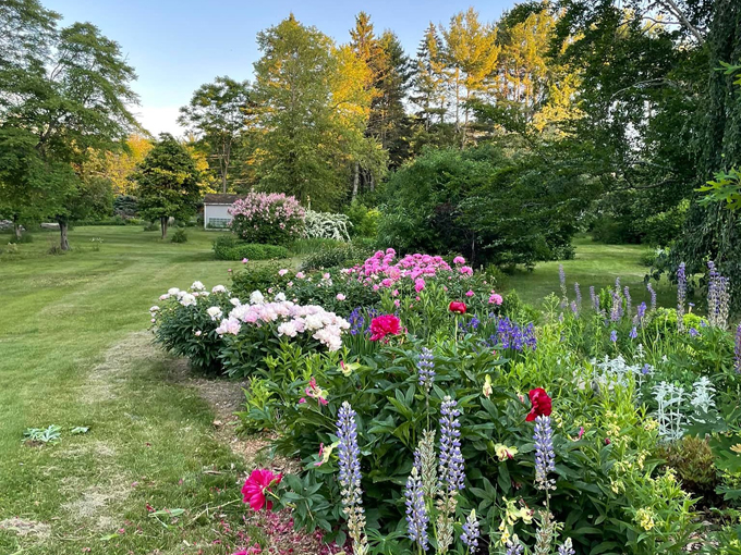 Wander Through A Secluded Arboretum In A Quaint Maine Country Town