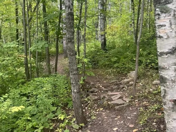 Ely's Peak 3