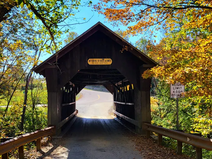 Gold Brook Covered Bridge 1