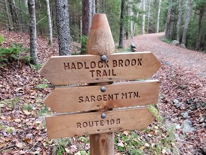 hadlock loop 1