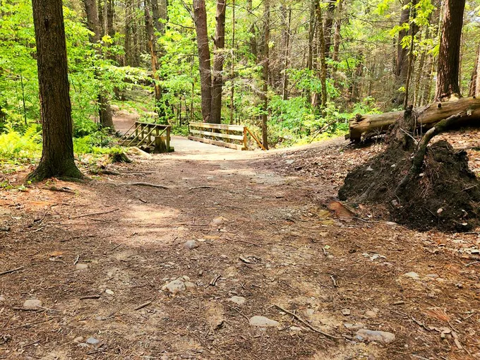 Hallowell's Vaughan Woods Trailhead 4