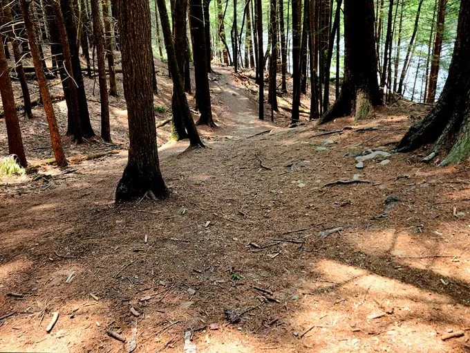 Hallowell's Vaughan Woods Trailhead 5