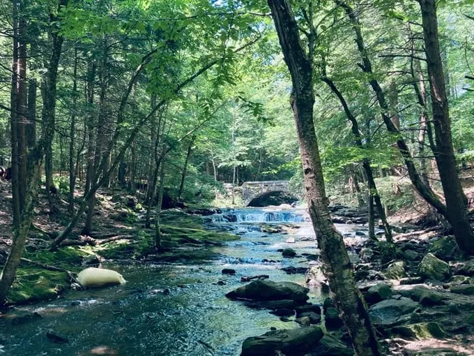 Hallowell's Vaughan Woods Trailhead 6