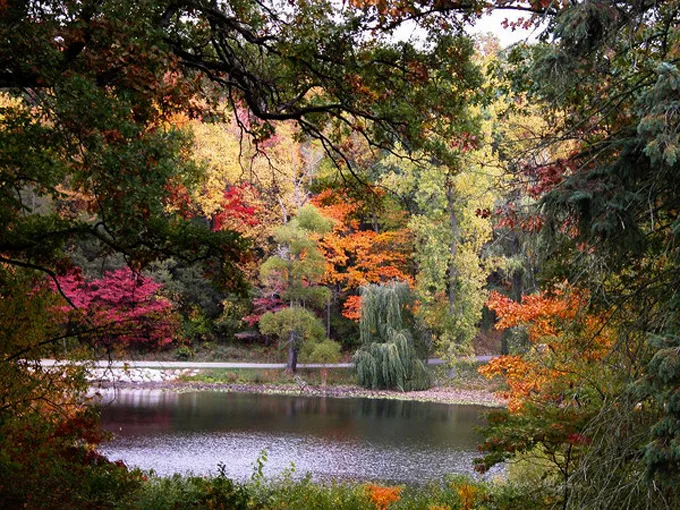 Hidden Lake Gardens 2