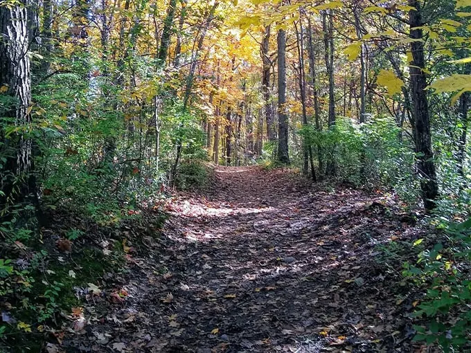 Hidden Lake Gardens 4