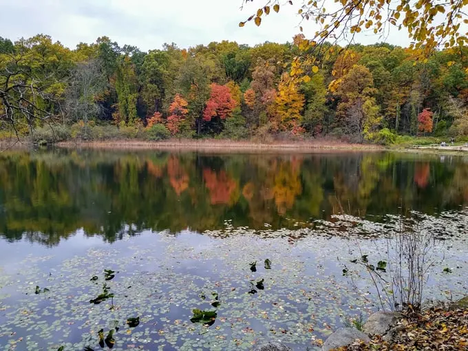 Hidden Lake Gardens 7