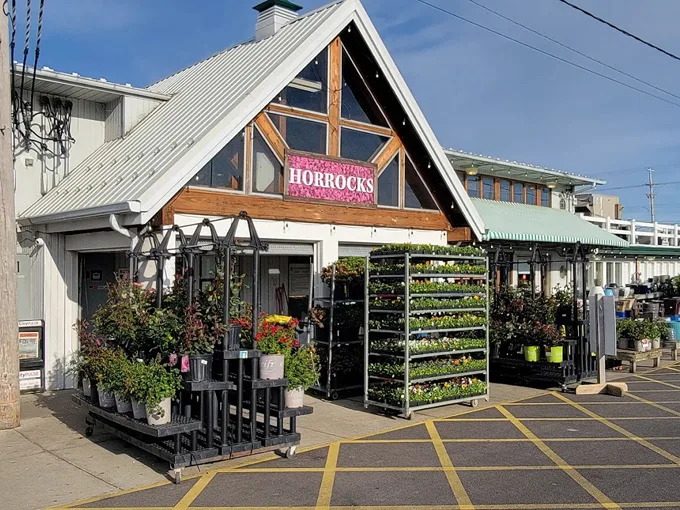 horrocks farm market 1