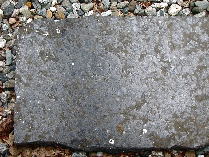 isle la motte 8