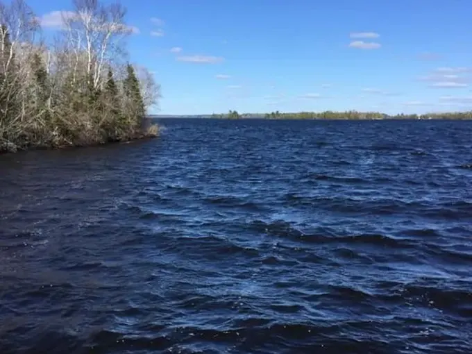 jackrabbit island 1
