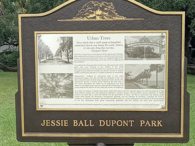 Jessie Ball DuPont Park 8