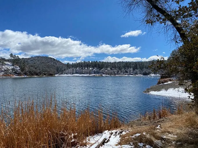 lynx lake 8