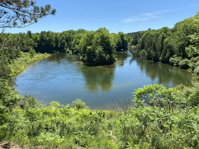 Manistee River Trail 1