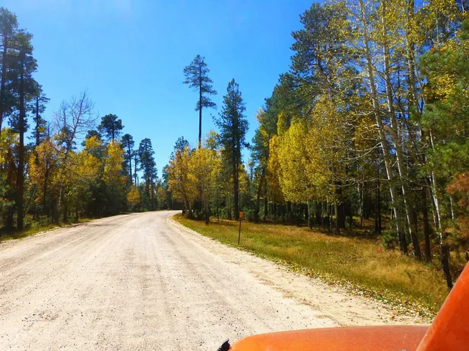 mogollon rim drive 1