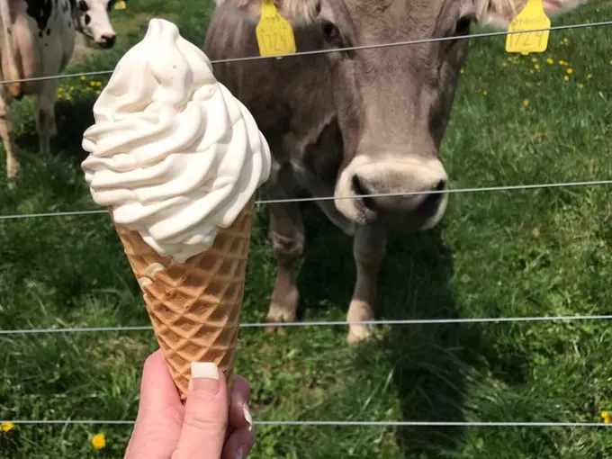 moo ville 5