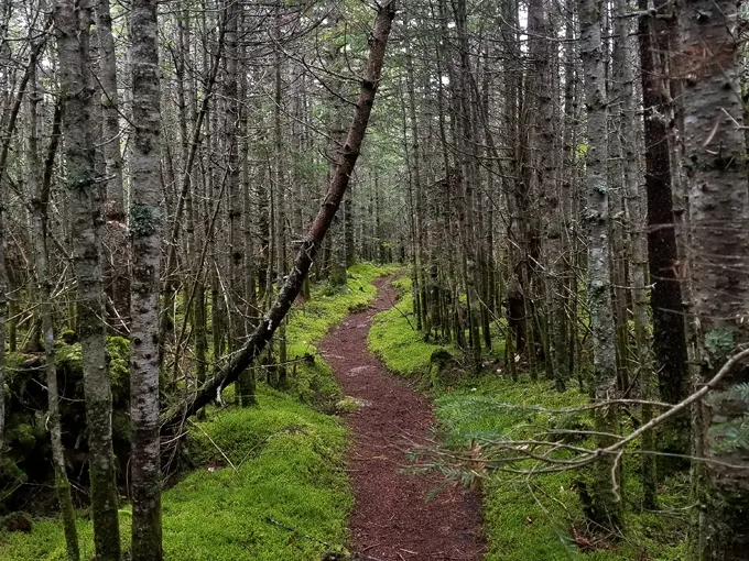 Mt Katahdin 6