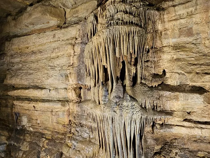 Mystery Cave State Park 6