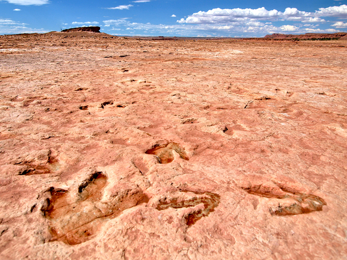 Navajo Moenave Dinosaur Tracks 2