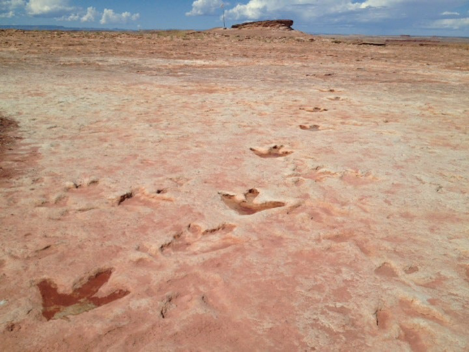 Navajo Moenave Dinosaur Tracks 3